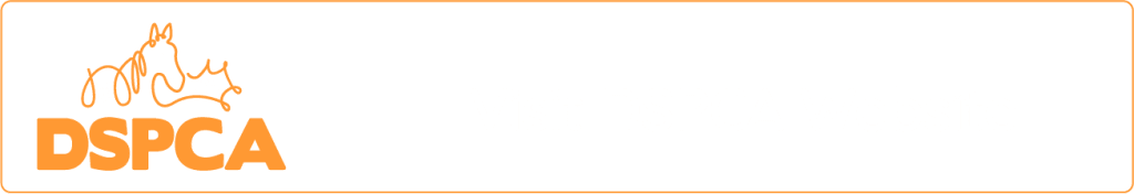 DSPCA Pet Hotels and Doggie Daycare