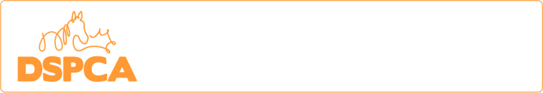 DSPCA Pet Hotels and Doggie Daycare